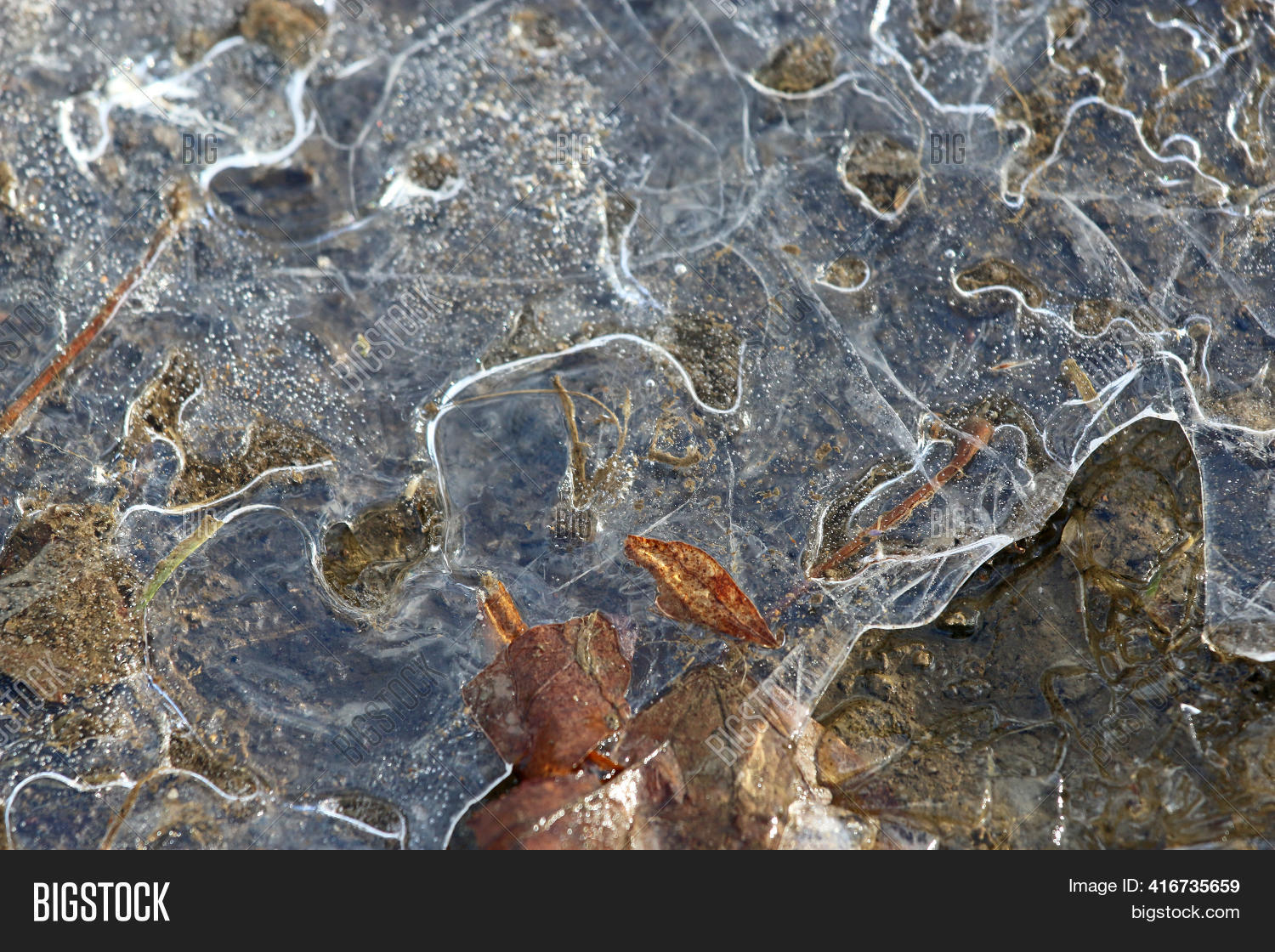 Ice Puddle Water Image & Photo (Free Trial) | Bigstock