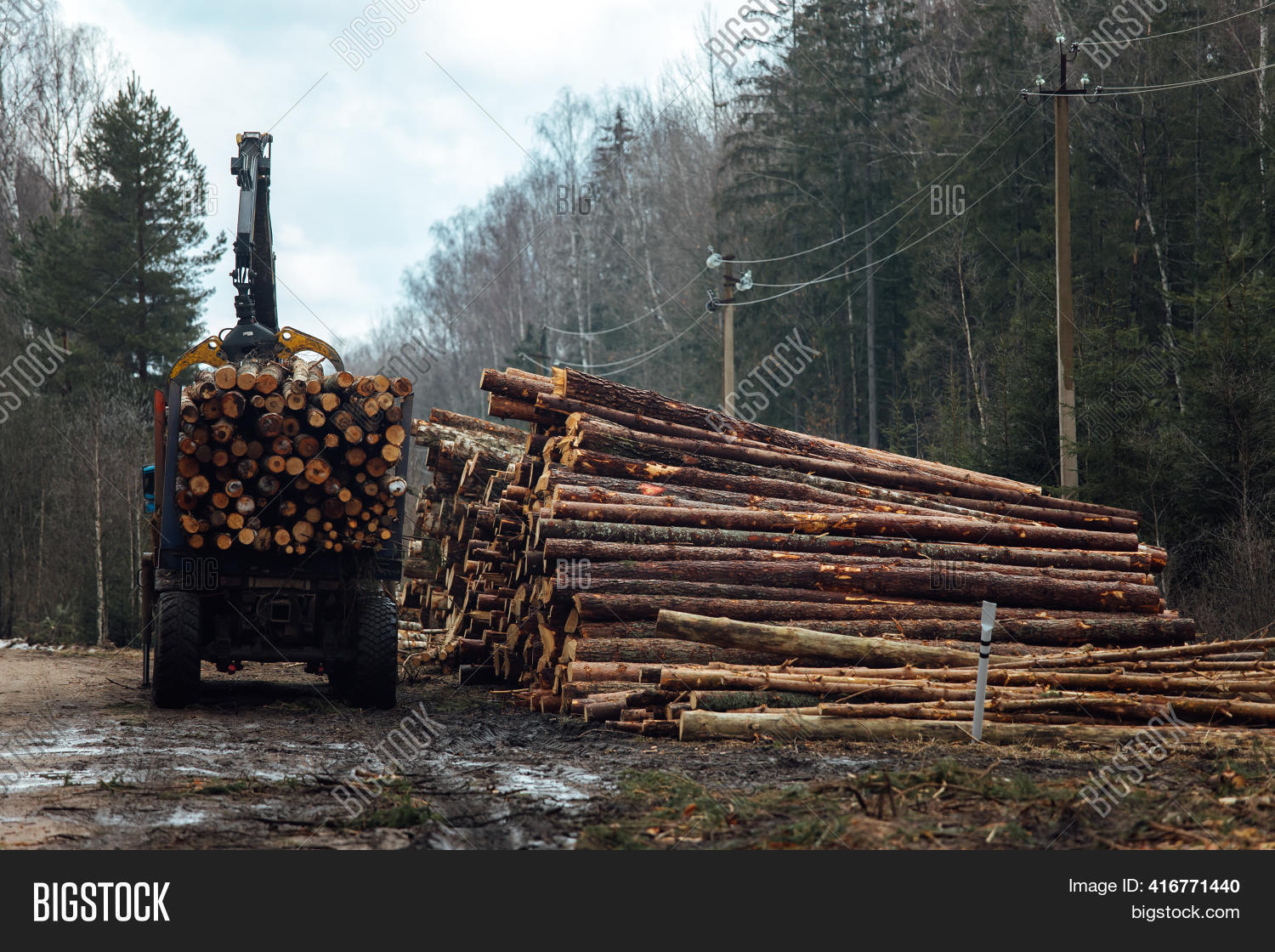 Crane Loads Trees. Cut Image & Photo (Free Trial) | Bigstock