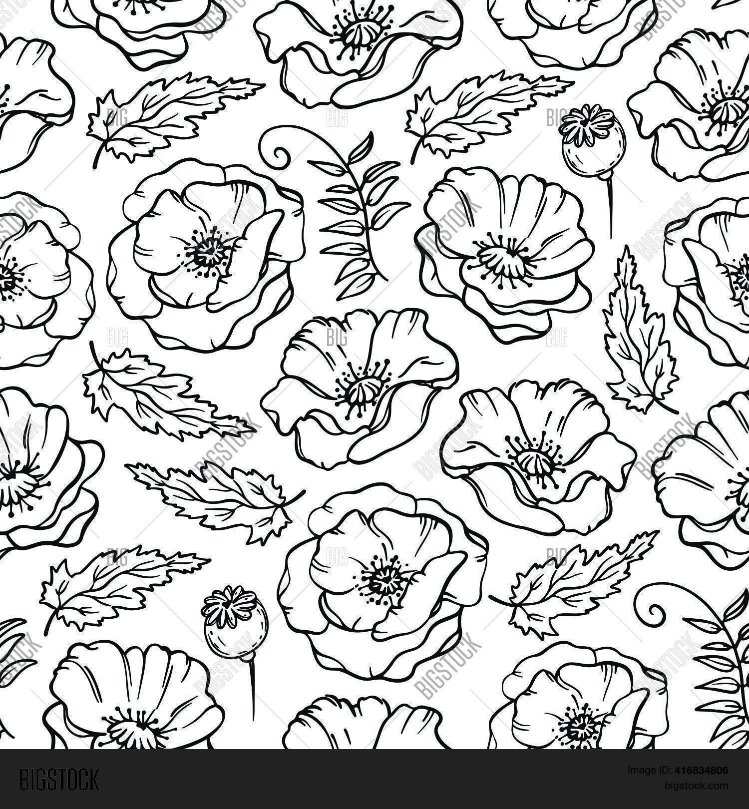 Poppy Meadow Vector & Photo (Free Trial) | Bigstock