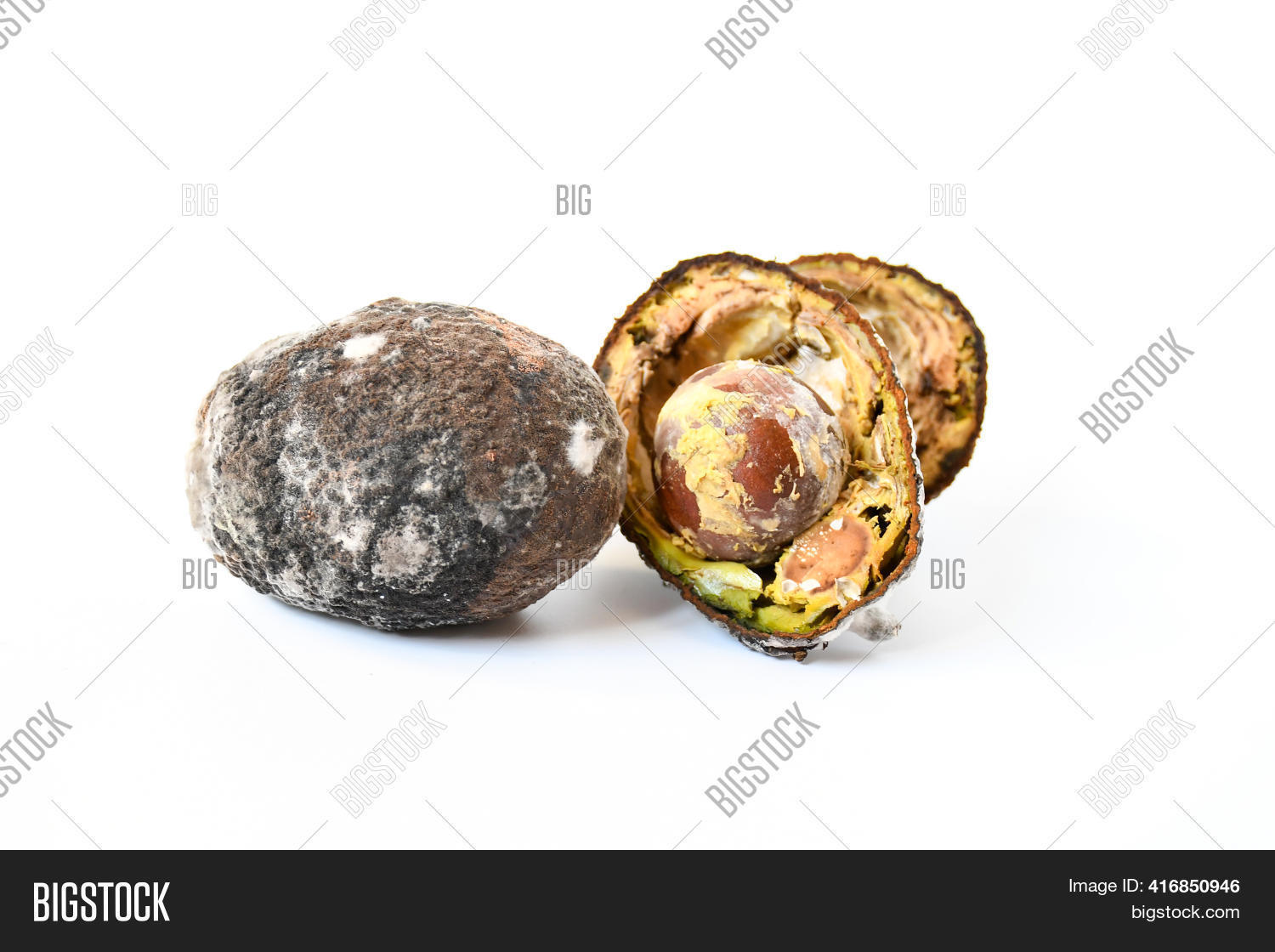 Rotten Avocado Fruit Image & Photo (Free Trial) | Bigstock
