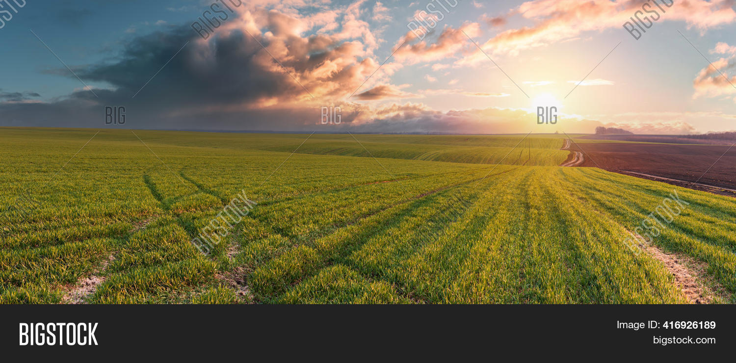 Large, Green Farm Image & Photo (Free Trial) | Bigstock