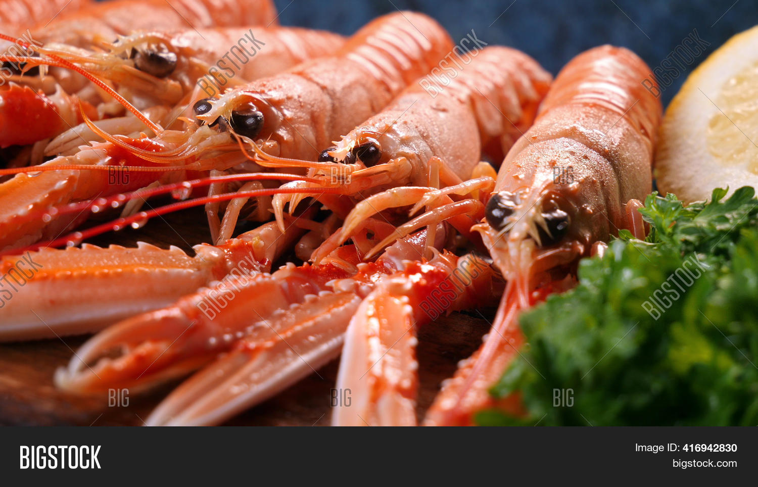 Fresh Seafood Huge Sea Image & Photo (Free Trial) | Bigstock