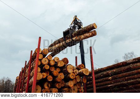 Crane Loads Trees. Cut Image & Photo (Free Trial) | Bigstock