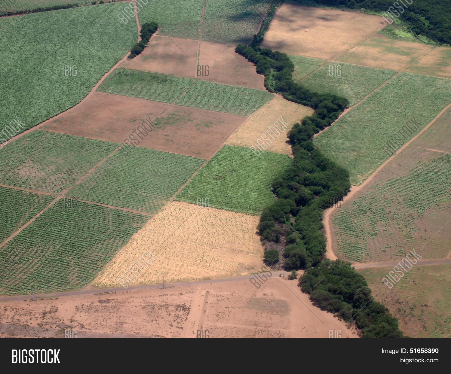 Aerial Sugar Cane Image & Photo (Free Trial) | Bigstock