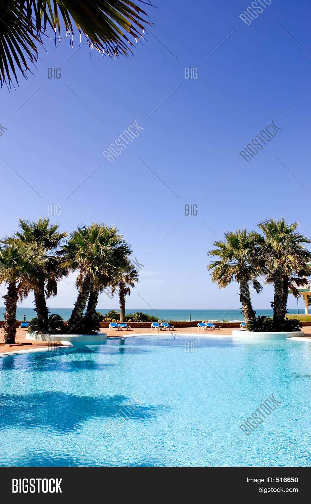 ภาพและภาพถ่าย (ทดลองใช้ฟรี) | Bigstock