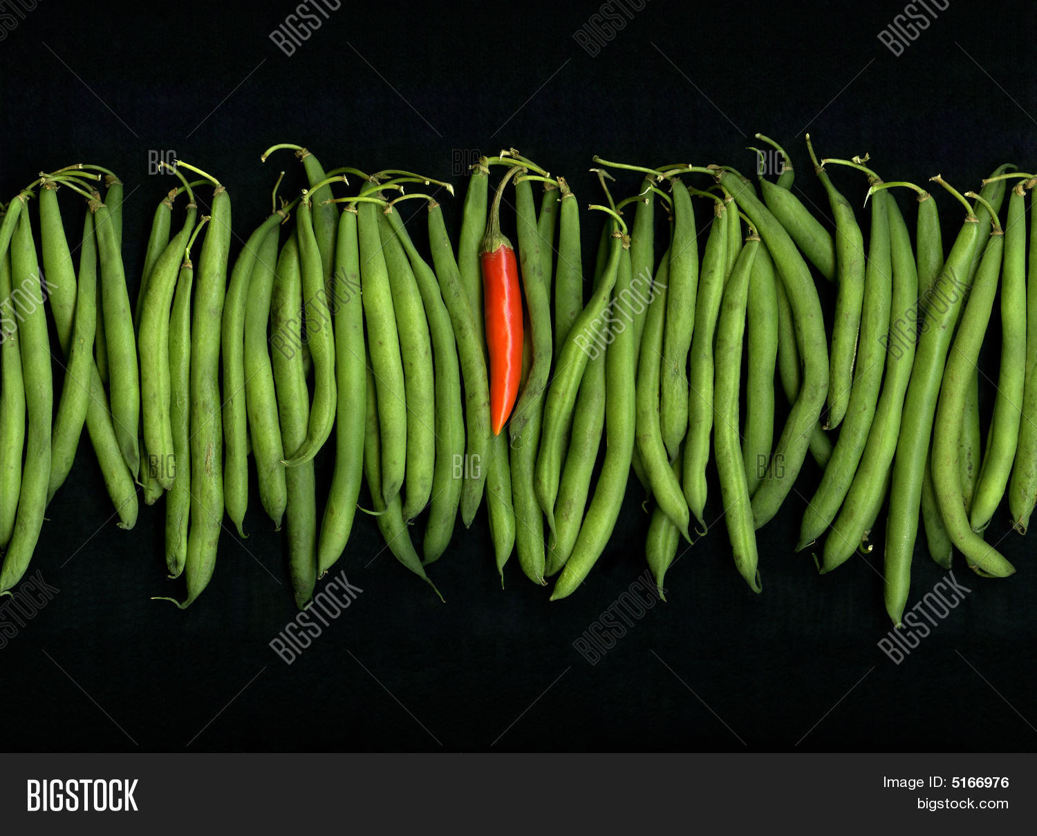 Thai N' String Image & Photo (Free Trial) | Bigstock