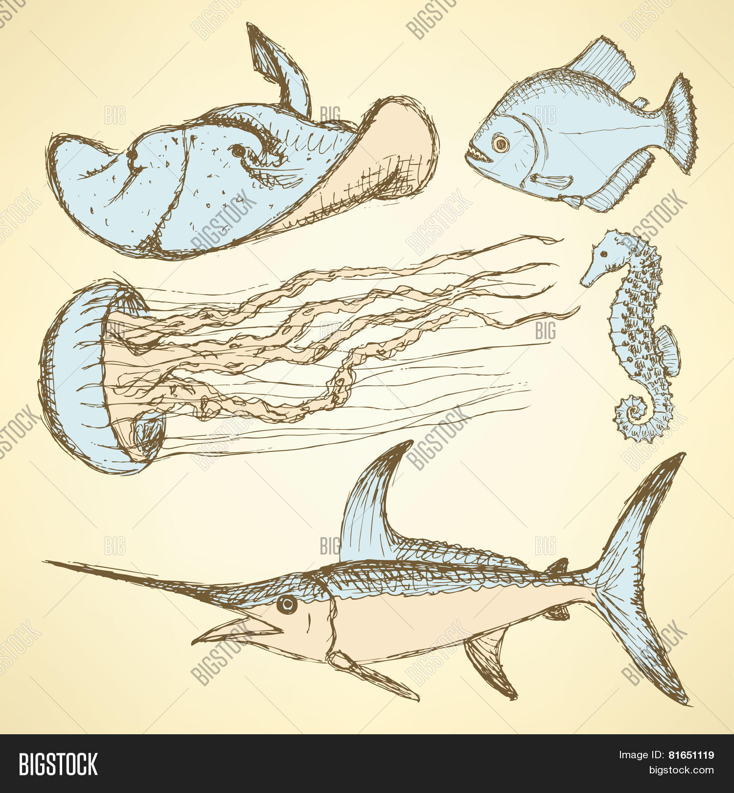 Sketch Sea Creatures Vector & Photo (Free Trial) | Bigstock
