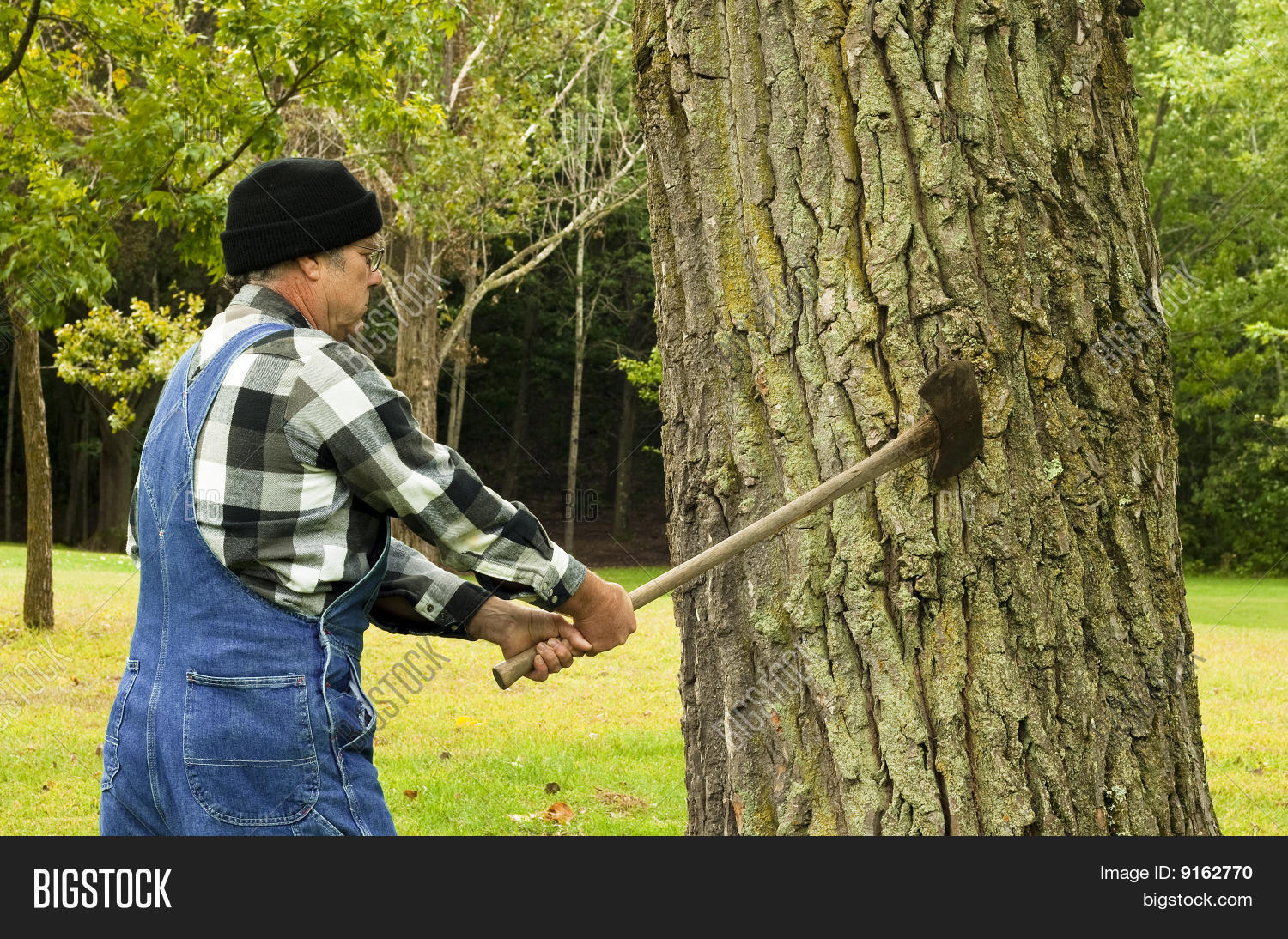 Man Preparing Chop Image & Photo (Free Trial) | Bigstock
