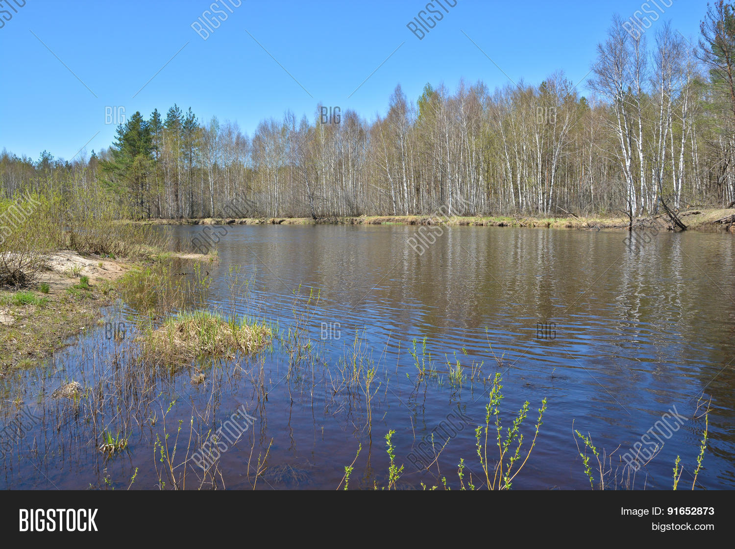 River Spring Forest Image & Photo (Free Trial) | Bigstock