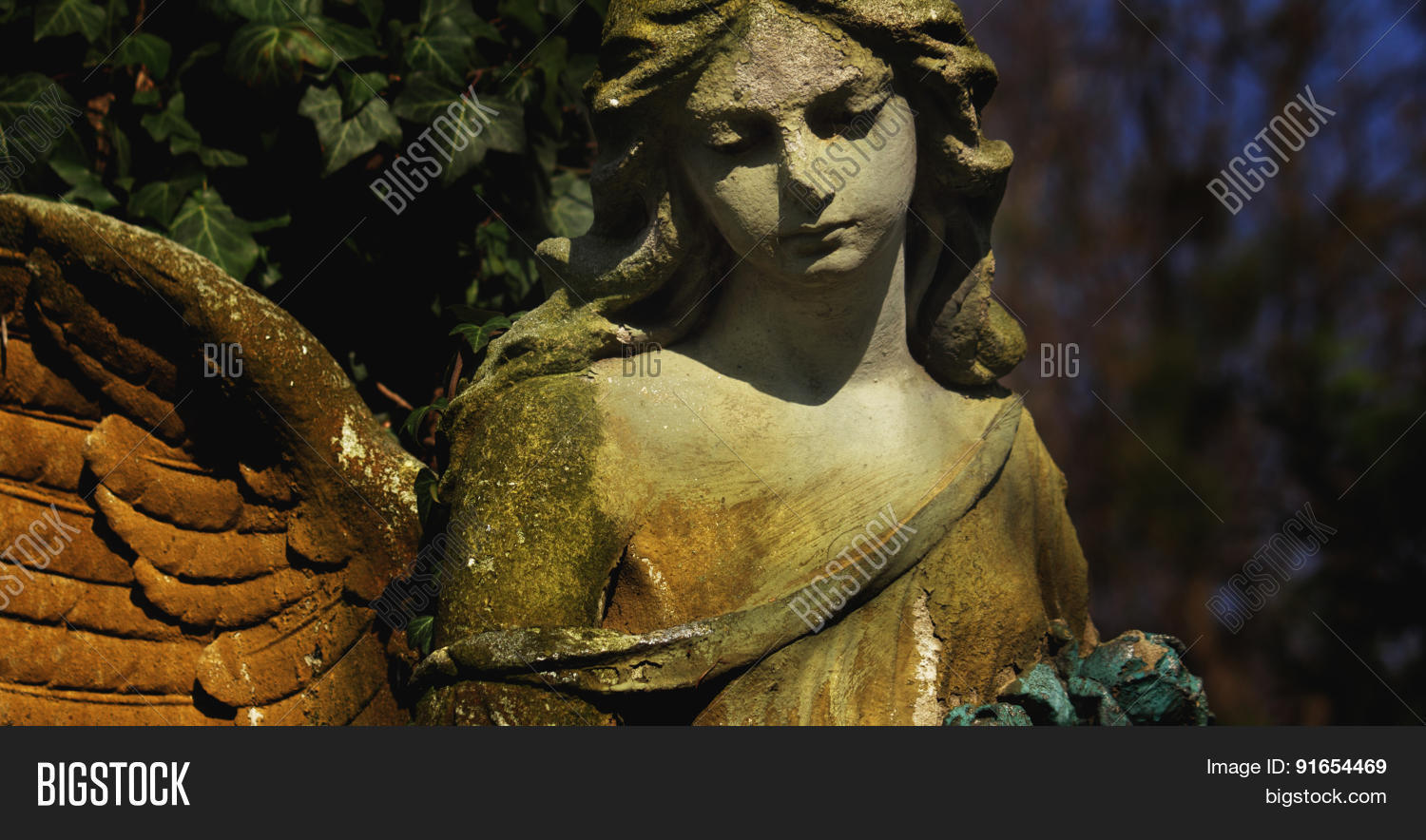 Angel Wings Image & Photo (Free Trial) | Bigstock