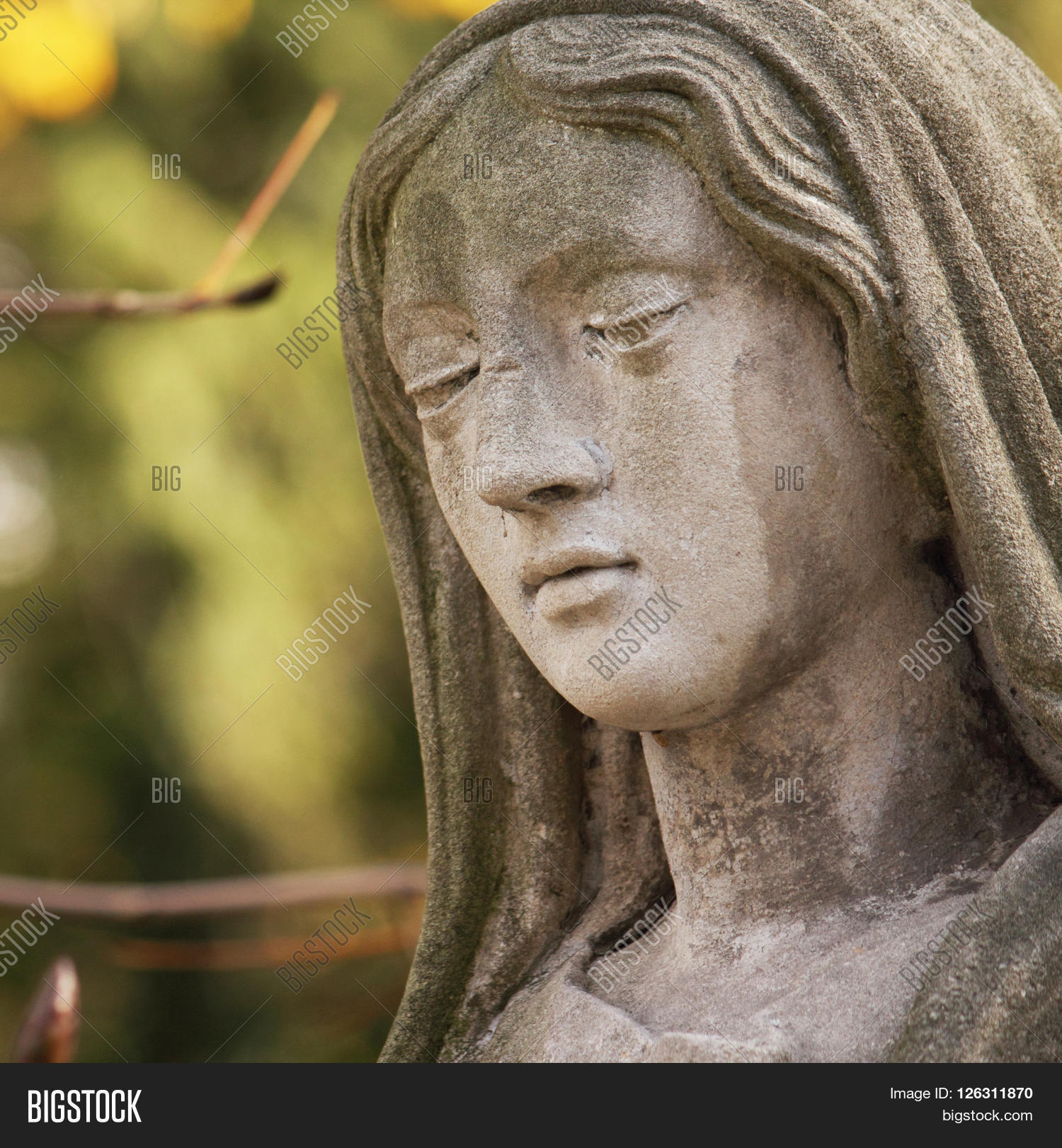 Statue Virgin Mary Image & Photo (Free Trial) | Bigstock