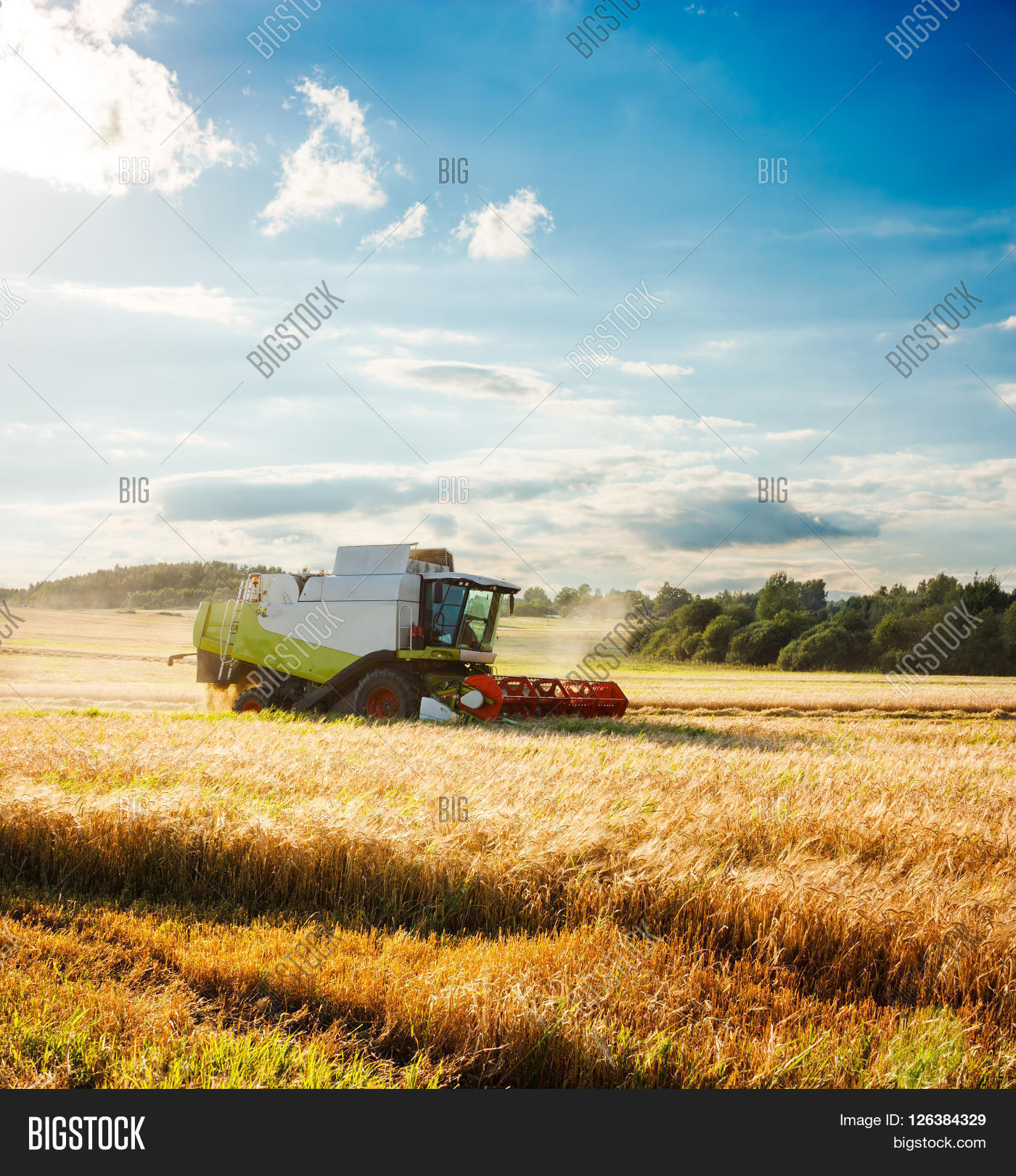 Working Harvesting Image & Photo (Free Trial) | Bigstock