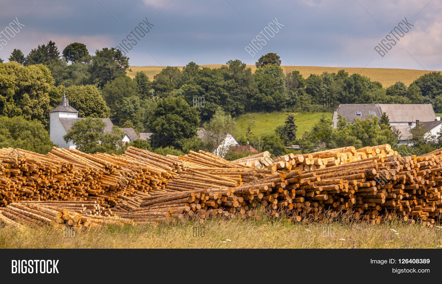 Stacks Wood Timber Image & Photo (Free Trial) | Bigstock