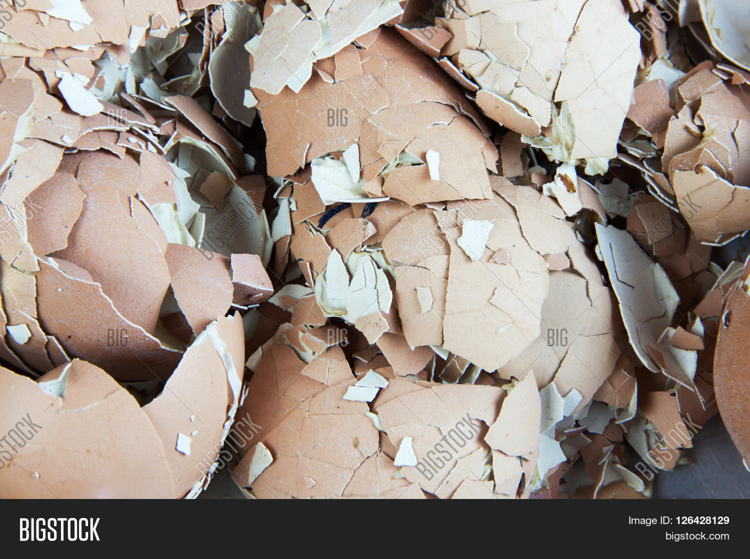 Egg Shell Many Creaked Image & Photo (Free Trial) | Bigstock