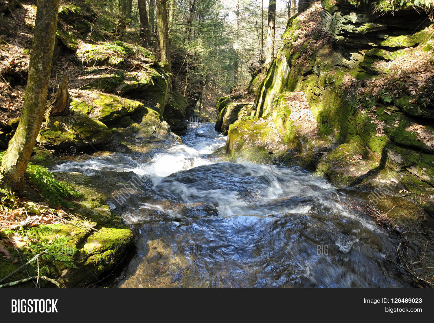 Water Flowing Through Image & Photo (Free Trial) | Bigstock
