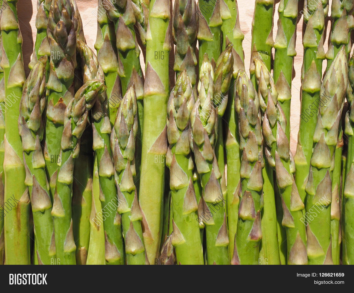 Green Asparagus Image & Photo (Free Trial) | Bigstock