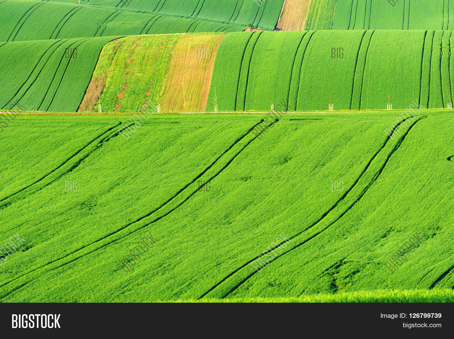Moravian Tuscany Image & Photo (Free Trial) | Bigstock