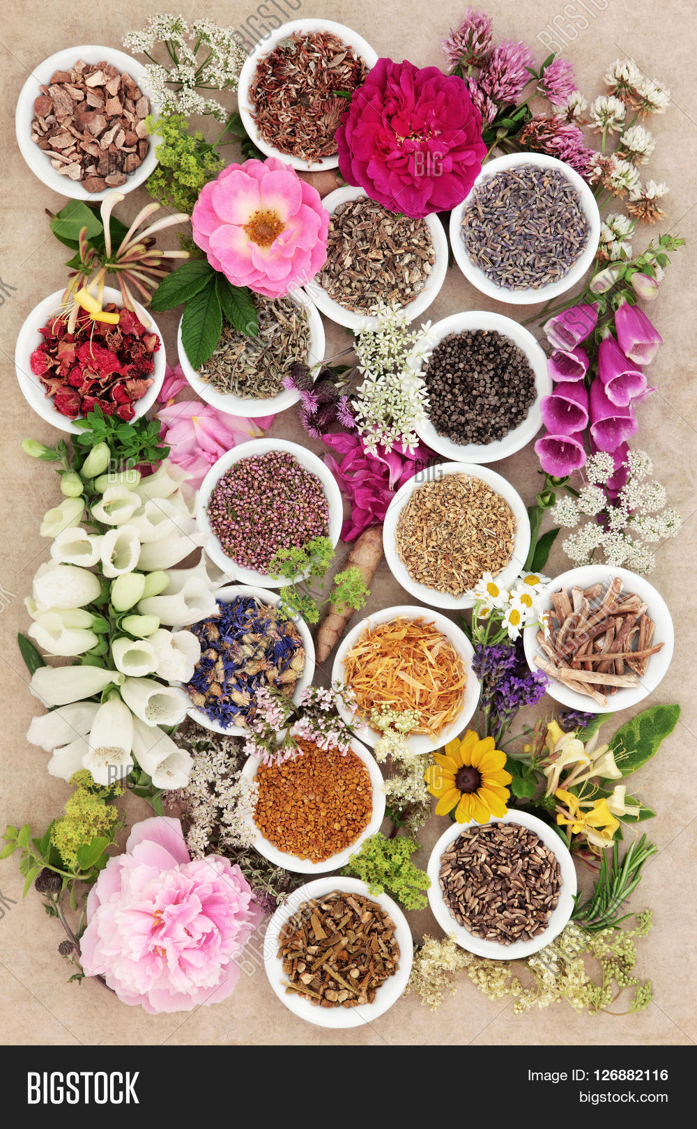 Herb Flower Selection Image & Photo (Free Trial) | Bigstock