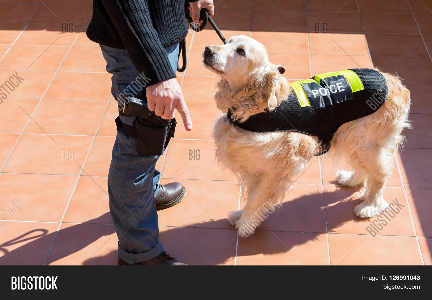 Dog Police Officer His Image & Photo (Free Trial) | Bigstock