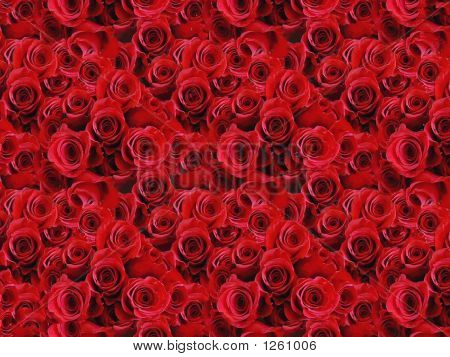 Lots Roses Image & Photo (Free Trial) | Bigstock