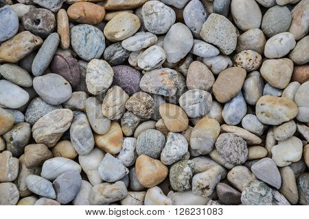 Small Stones Gravel Image & Photo (Free Trial) | Bigstock