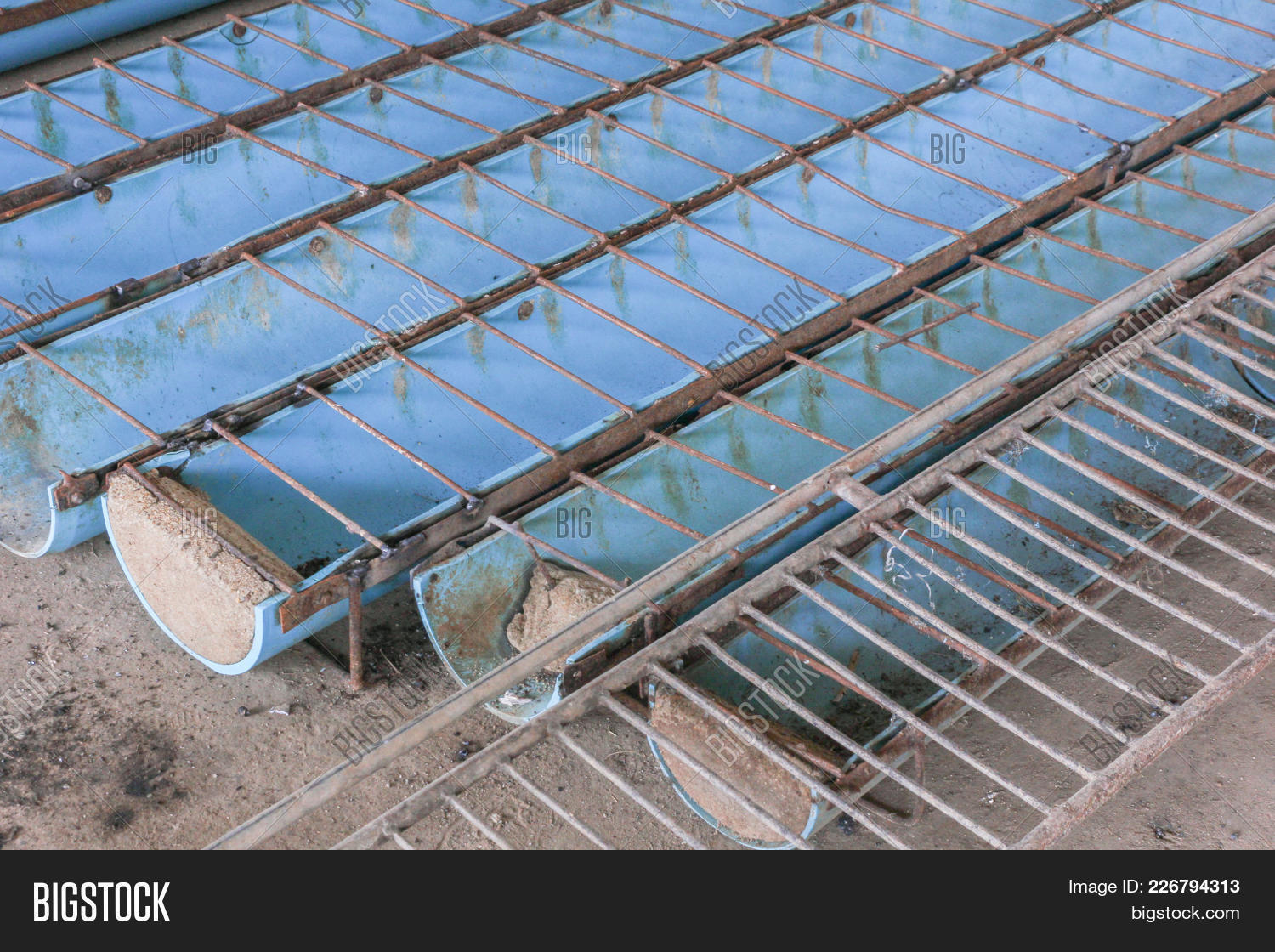 Feed Box Feed Rack Pig Image & Photo (Free Trial) | Bigstock