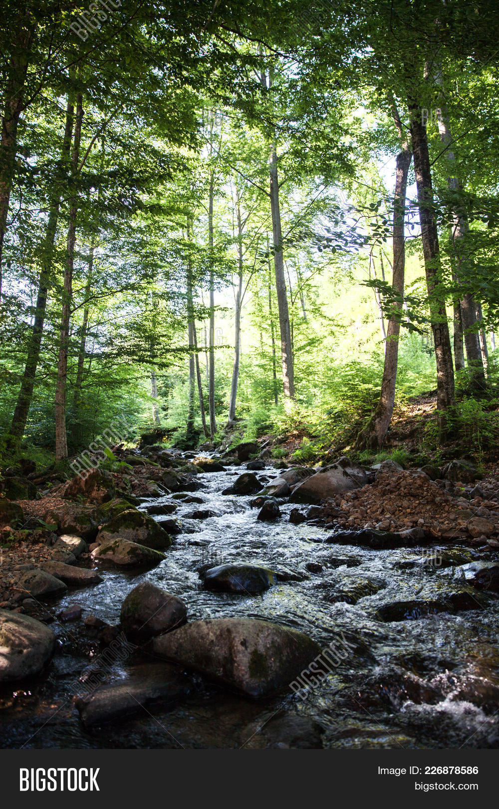 Small Brook Trickles Image & Photo (Free Trial) | Bigstock