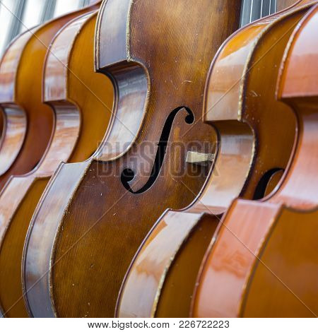 Upright Bass Images, Illustrations & Vectors (Free) - Bigstock