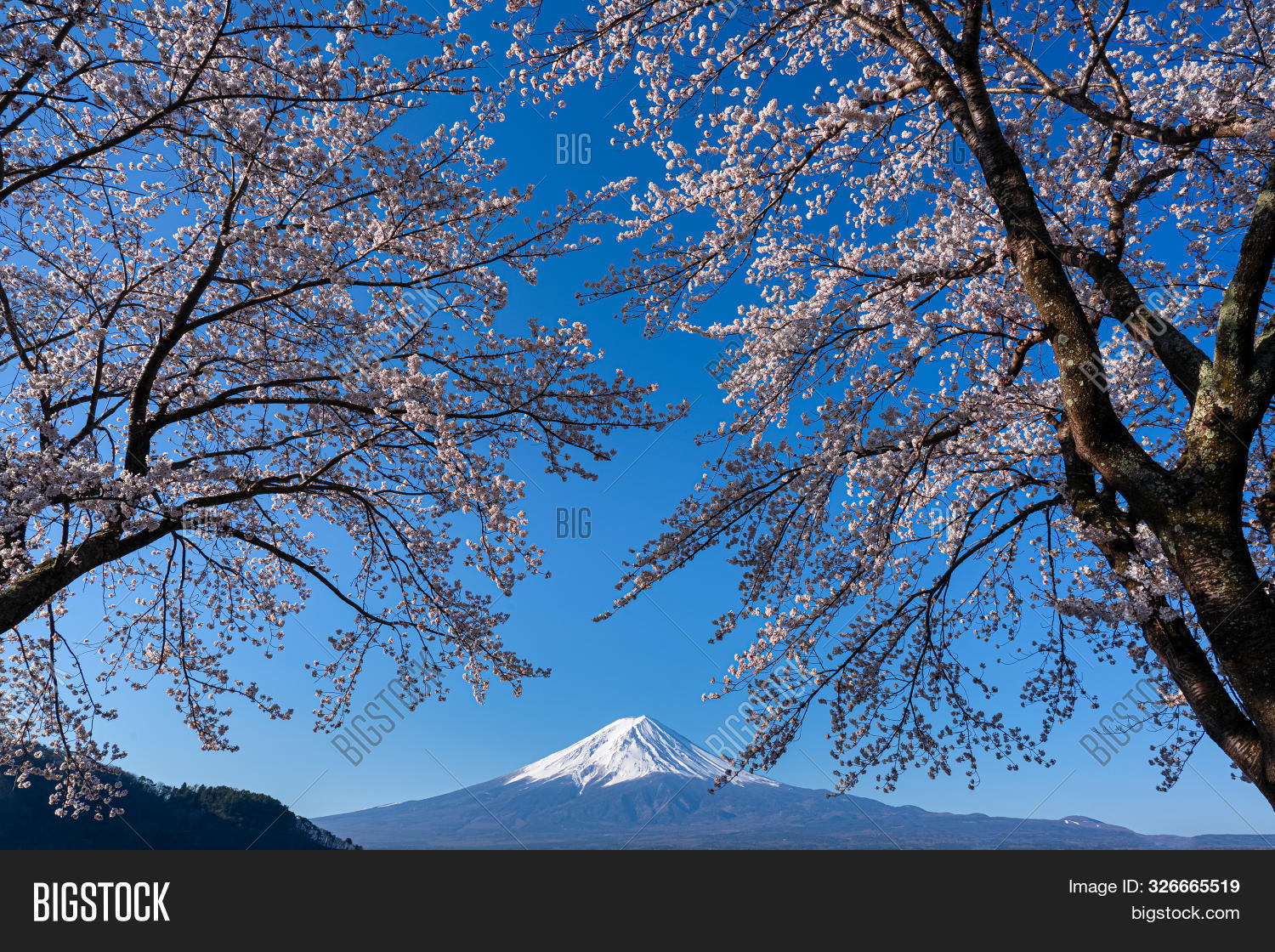 Mt. Fuji Spring Time Image & Photo (Free Trial) | Bigstock