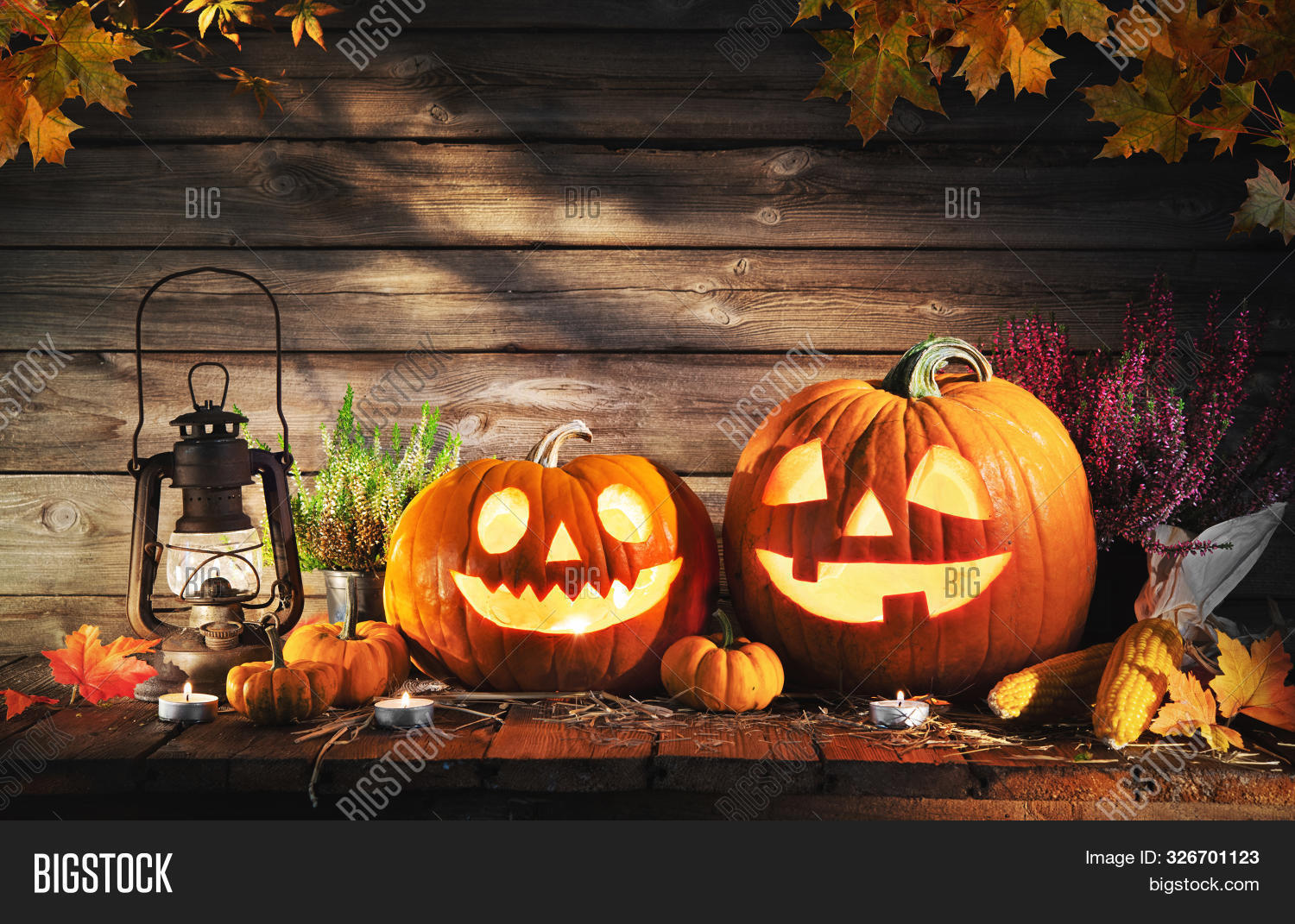 Halloween Pumpkin Head Image & Photo (Free Trial) | Bigstock