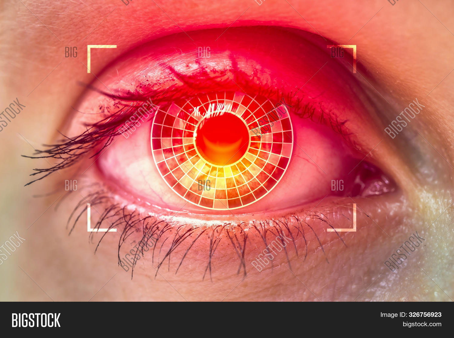 Human Eye Scanning Image & Photo (Free Trial) | Bigstock