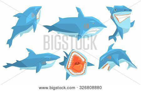 Shark Different Poses Vector & Photo (Free Trial) | Bigstock