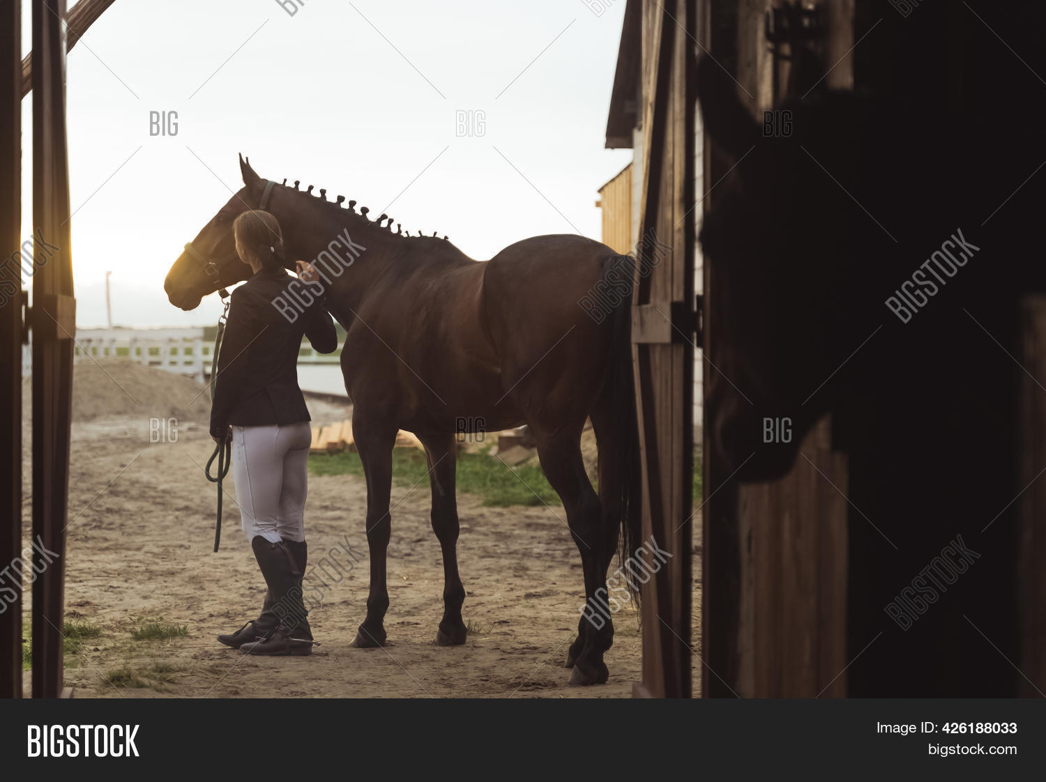 Back View Horse Woman Image & Photo (Free Trial) | Bigstock