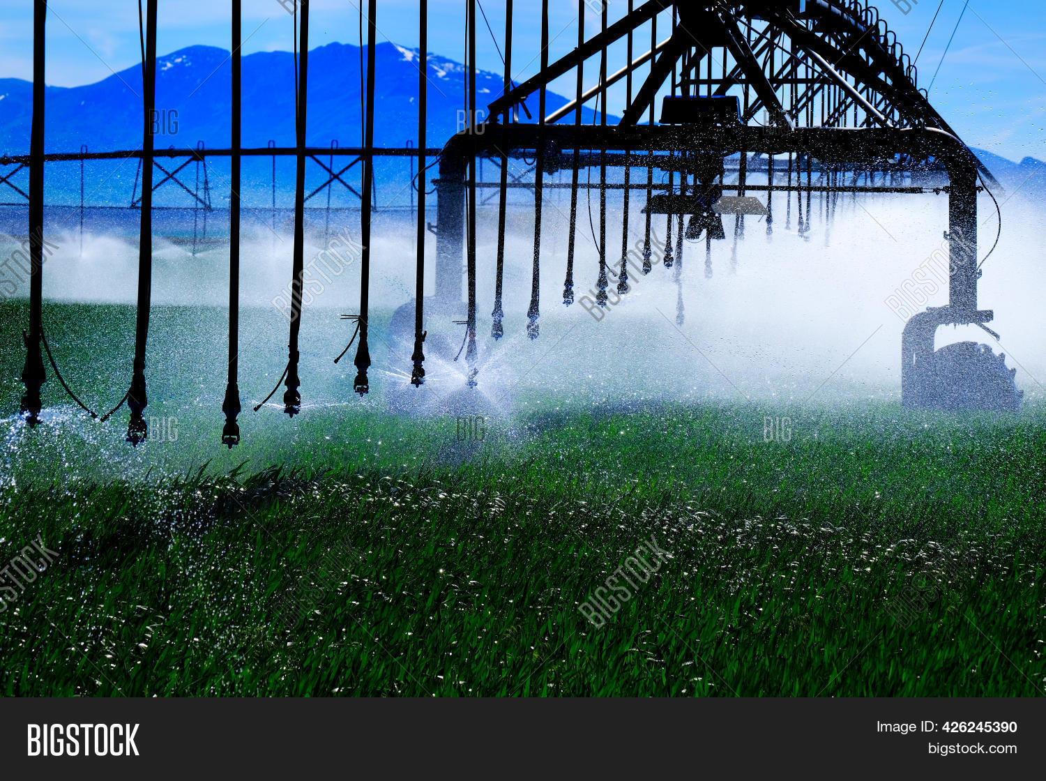 Farming Sprinkler Image & Photo (Free Trial) | Bigstock