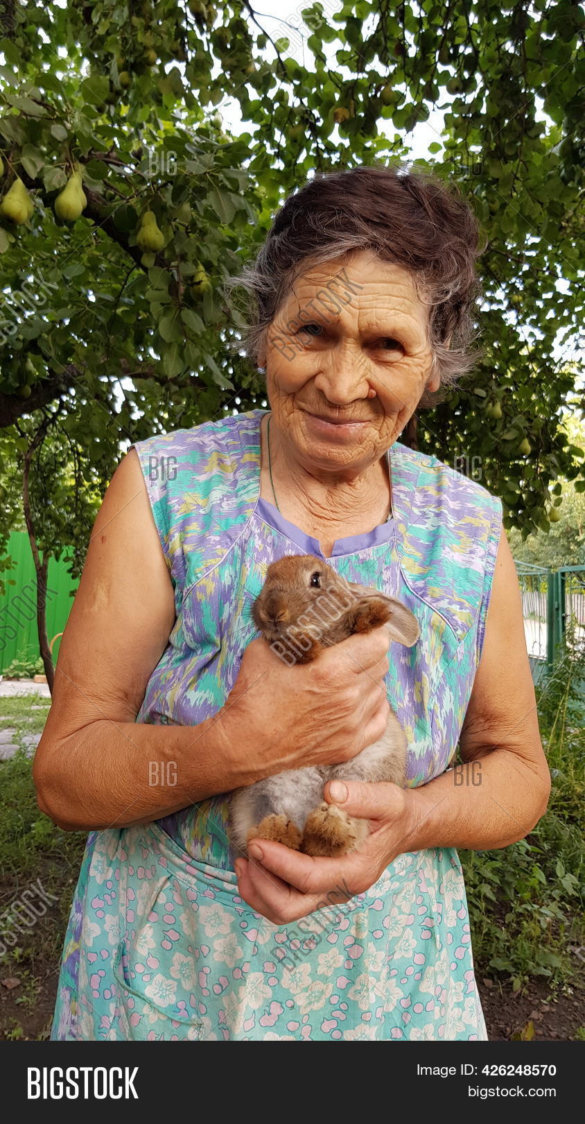 Senior Woman Holds Image & Photo (Free Trial) | Bigstock