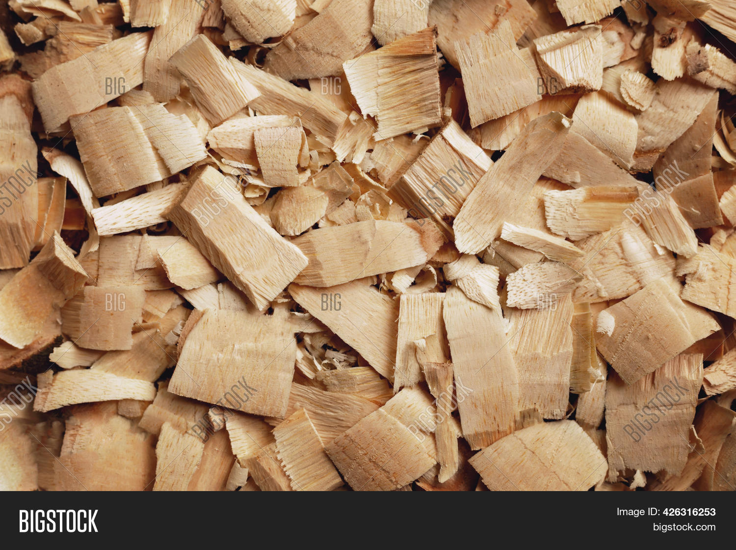 Small Wood Chips Wood Image & Photo (Free Trial) | Bigstock