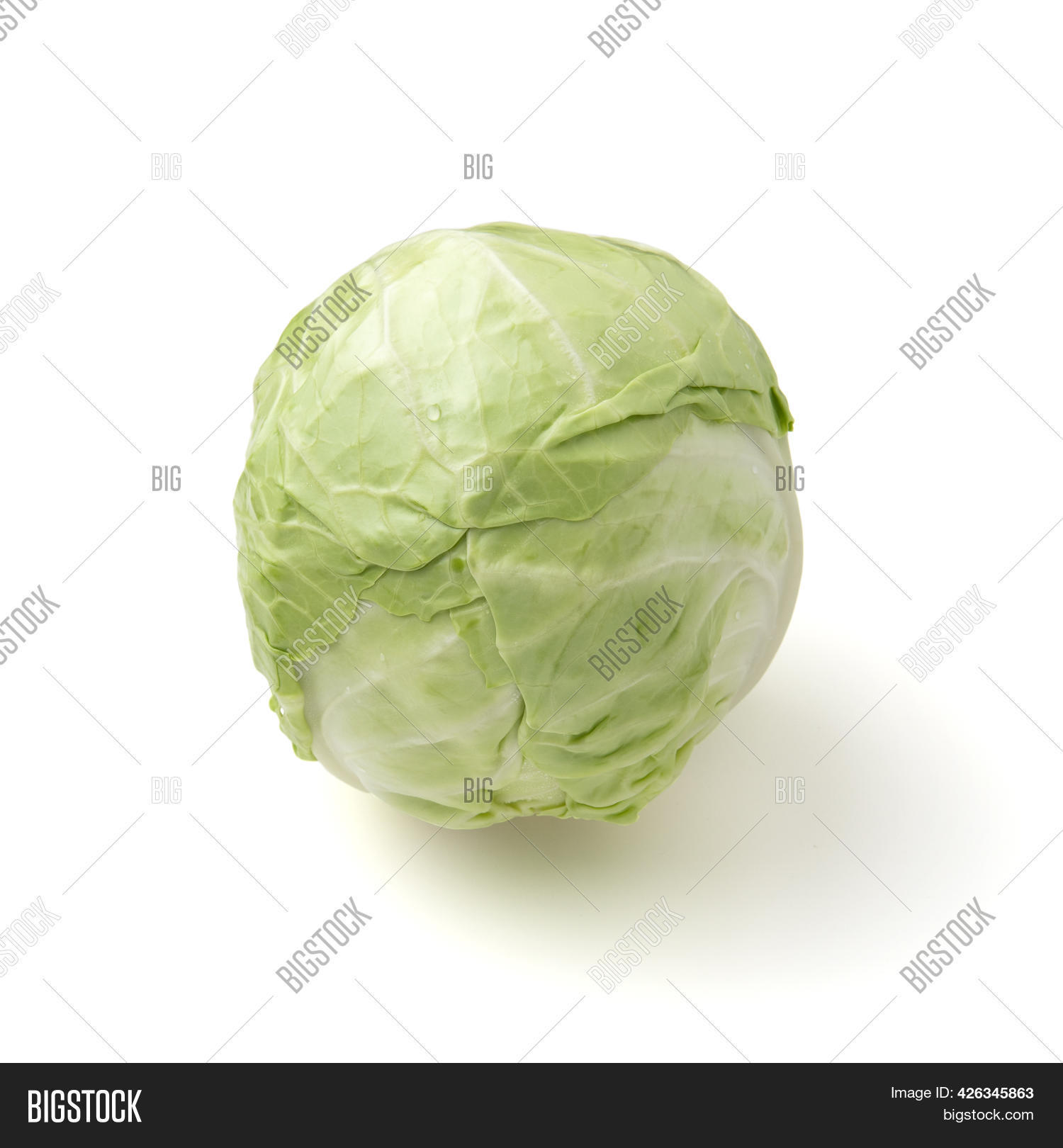 Green Cabbage Isolated Image & Photo (Free Trial) | Bigstock