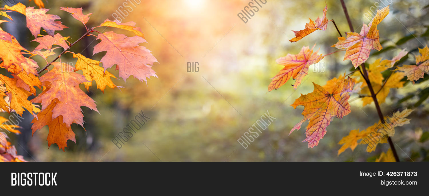 Magic Autumn. Autumn Image & Photo (Free Trial) | Bigstock