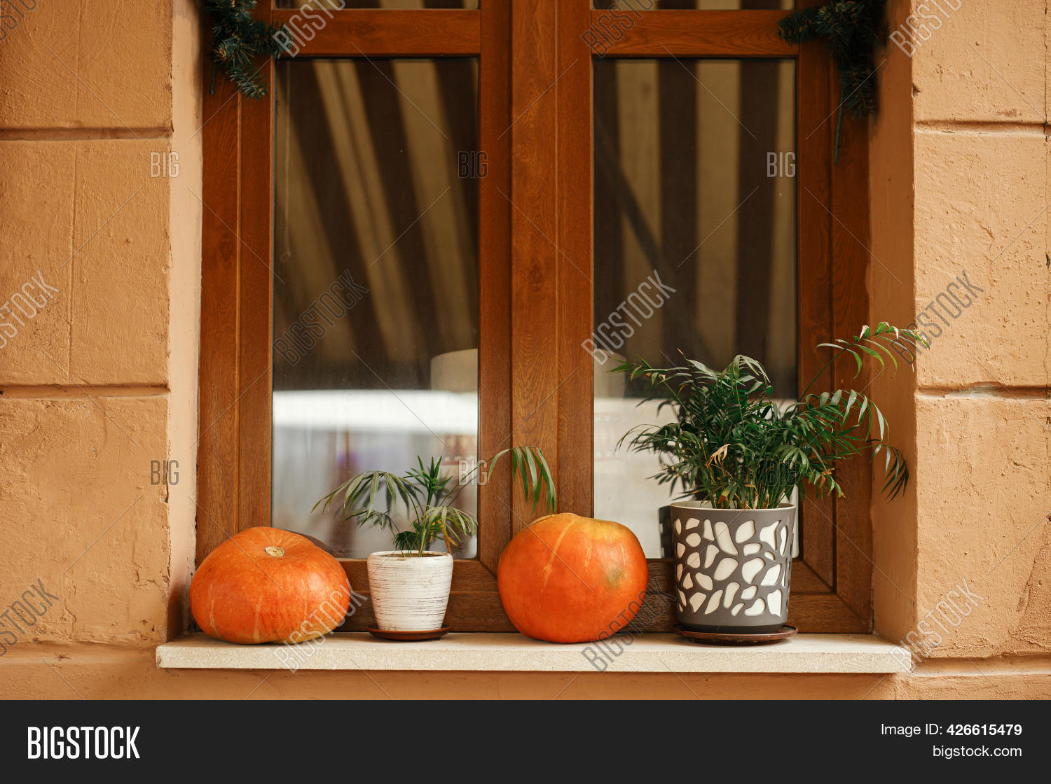 Pumpkins On Windowsill Image & Photo (Free Trial) | Bigstock