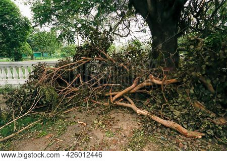 Super Cyclone Amphan Image & Photo (Free Trial) | Bigstock