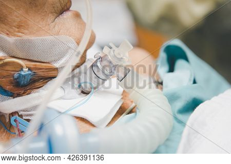 Patient Do Image & Photo (Free Trial) | Bigstock