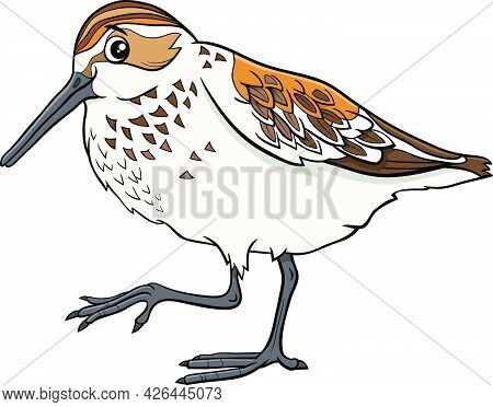 Cartoon Illustration Vector & Photo (Free Trial) | Bigstock