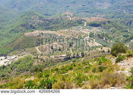 Coll De Rates Image & Photo (Free Trial) | Bigstock