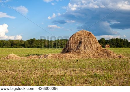Hay Field Images, Illustrations & Vectors (Free) - Bigstock