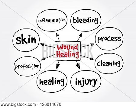 Wound Healing Mind Map Image & Photo (Free Trial) | Bigstock