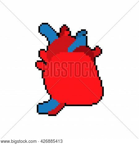 Anatomical Heart Vector & Photo (Free Trial) | Bigstock
