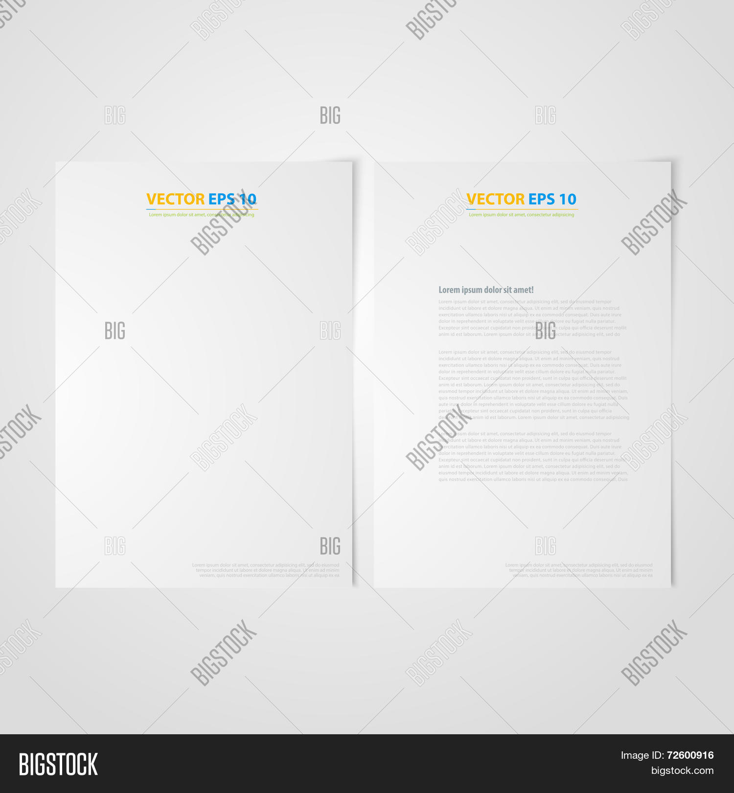 Flyer Template Back Vector & Photo (Free Trial) | Bigstock