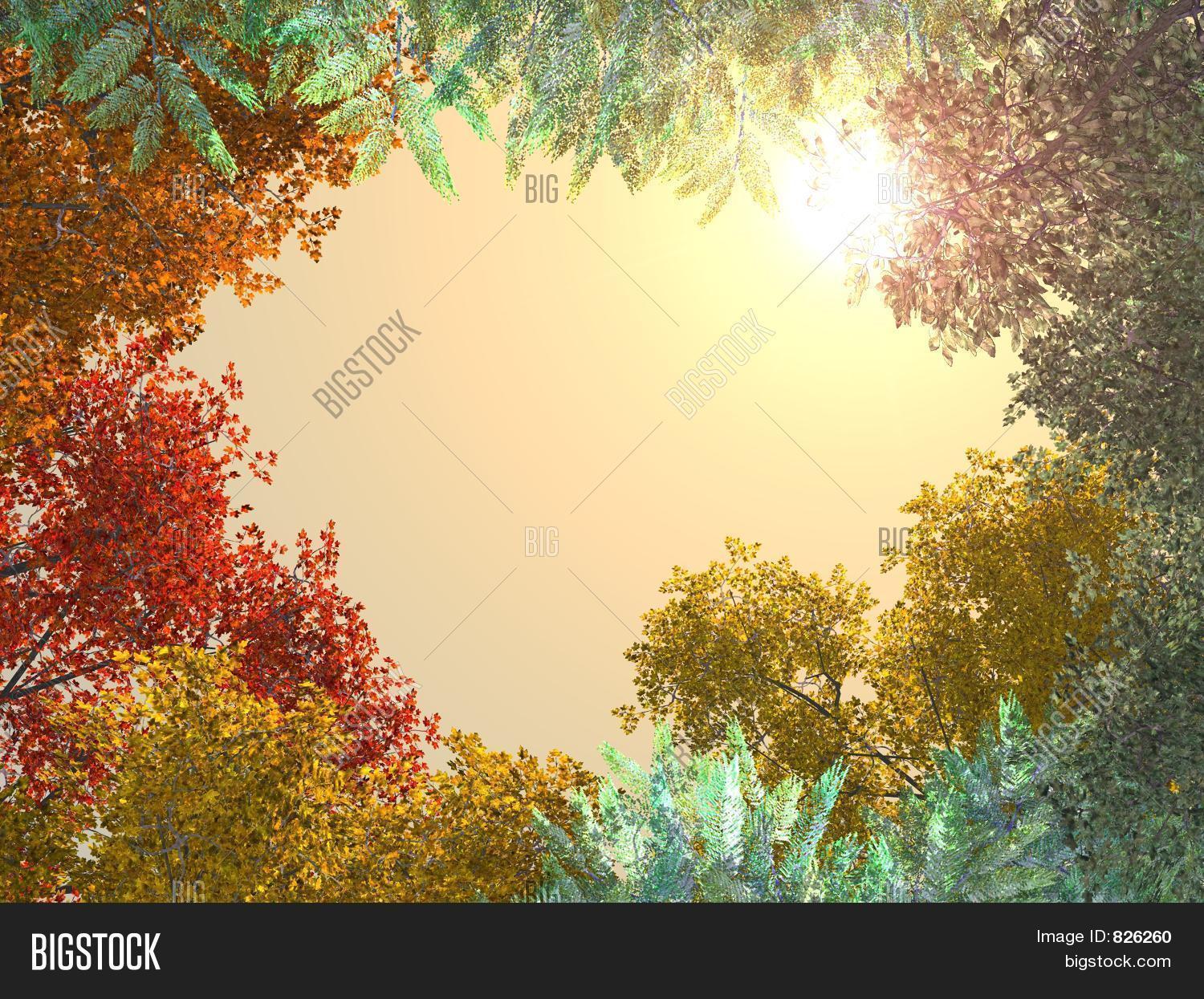 Autumn Sunset Frame Image & Photo (Free Trial) | Bigstock