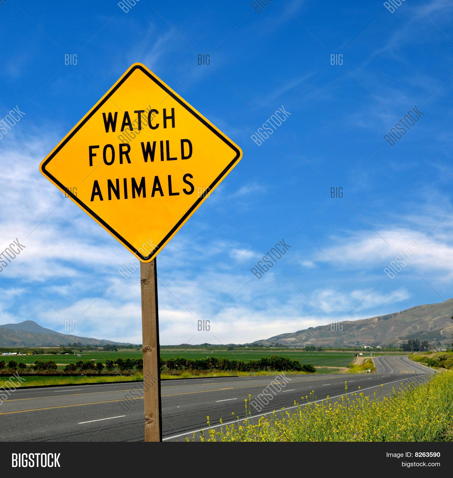 Rare Road Sign Image & Photo (Free Trial) | Bigstock
