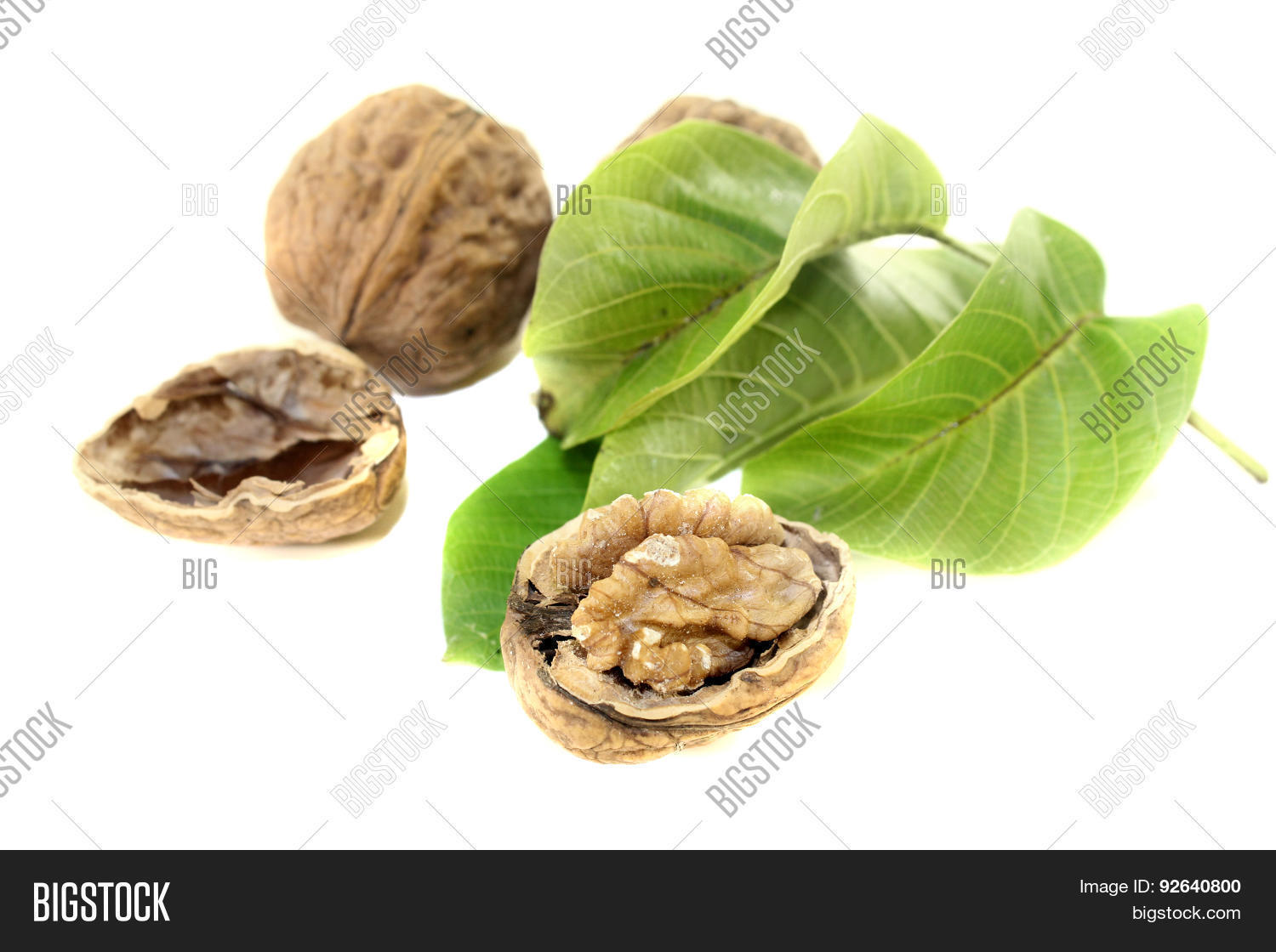 Crunchy Walnuts Walnut Image & Photo (Free Trial) | Bigstock